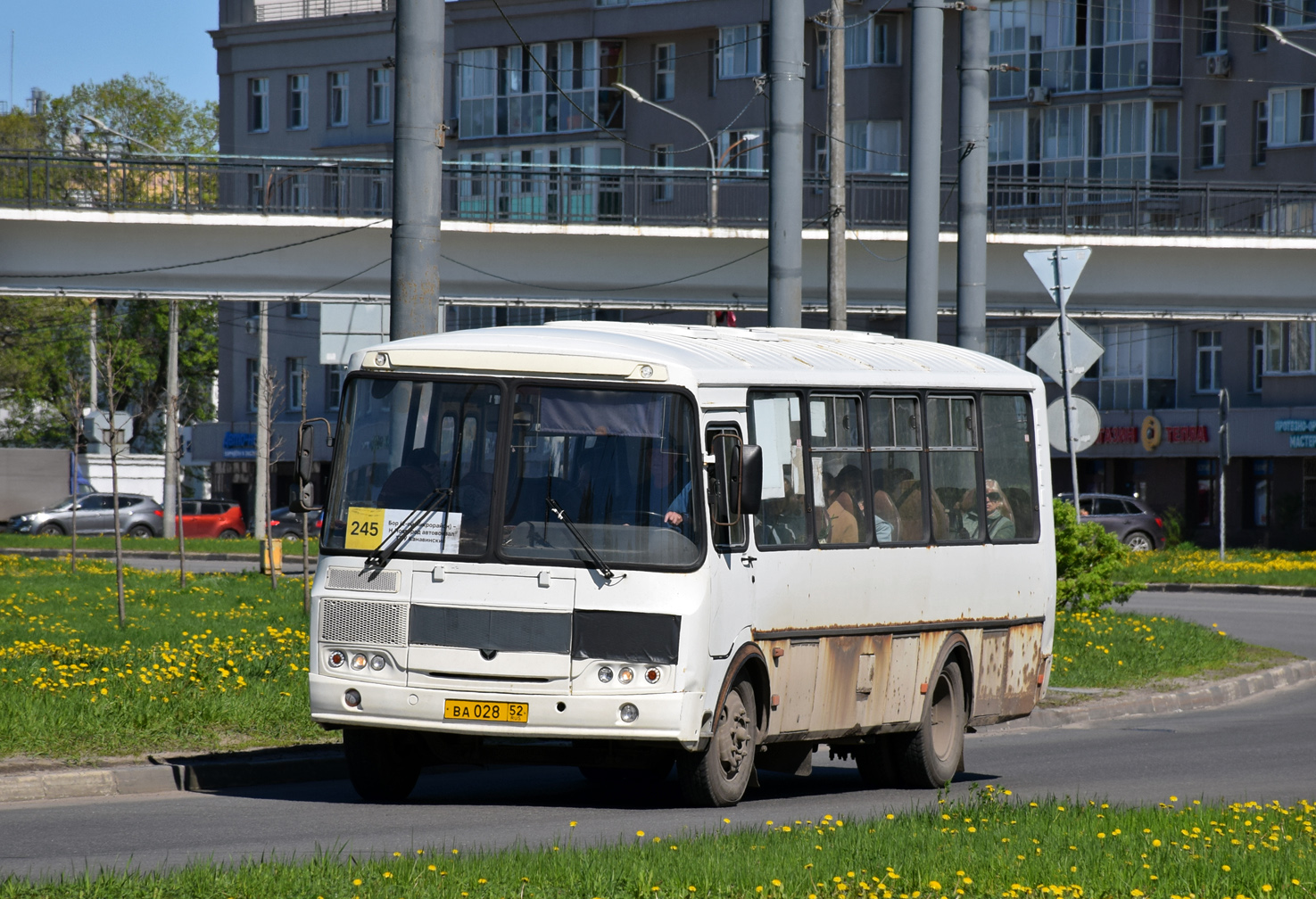 Нижегородская область, ПАЗ-4234-04 № 1335 — Фото — Автобусный транспорт